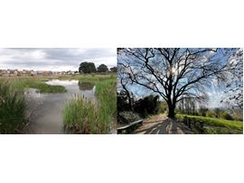 Two new local nature reserve declarations announced | Test Valley ...