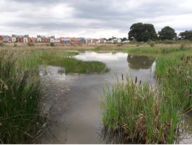 Test Valley Borough Council continues to fight climate change | Test ...